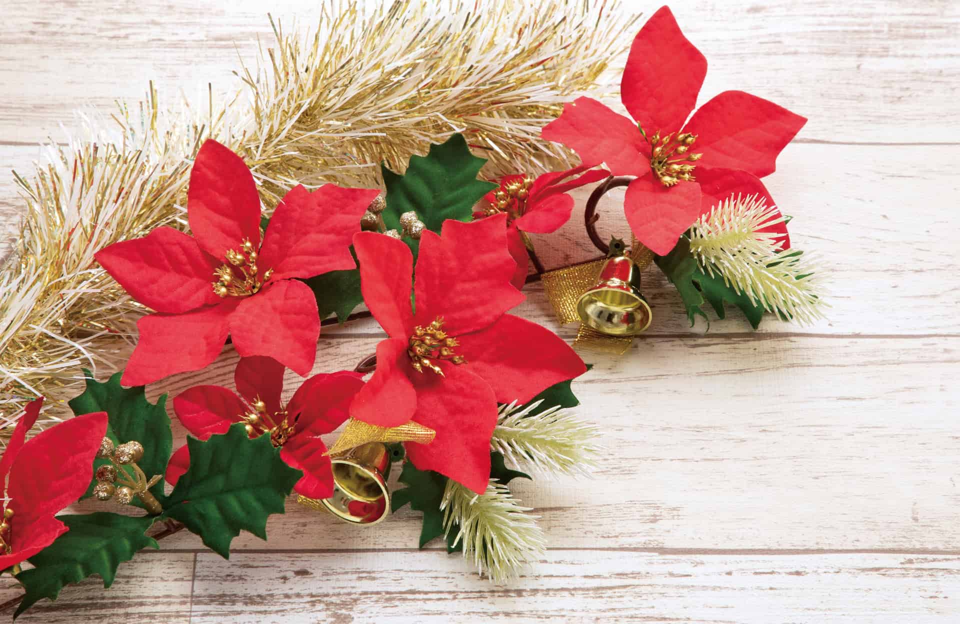 Japanese Events in December 2024 - Best-Japanese