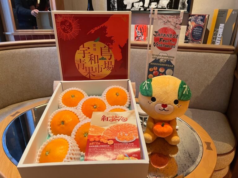 Ehime Jelly Orange: The Ultimate Citrus Delicacy - Best-Japanese