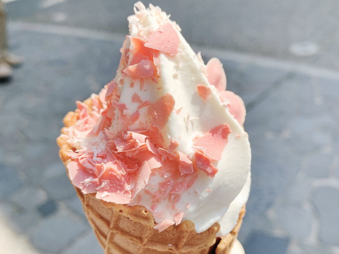 5 Most Popular Sakura Flavoured Foods: A Taste of Spring - Best-Japanese